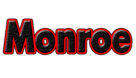 Monroe Conveyor Chains – Maxim Plow Parts