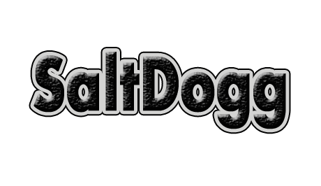 SaltDogg Conveyor Chains – Maxim Plow Parts